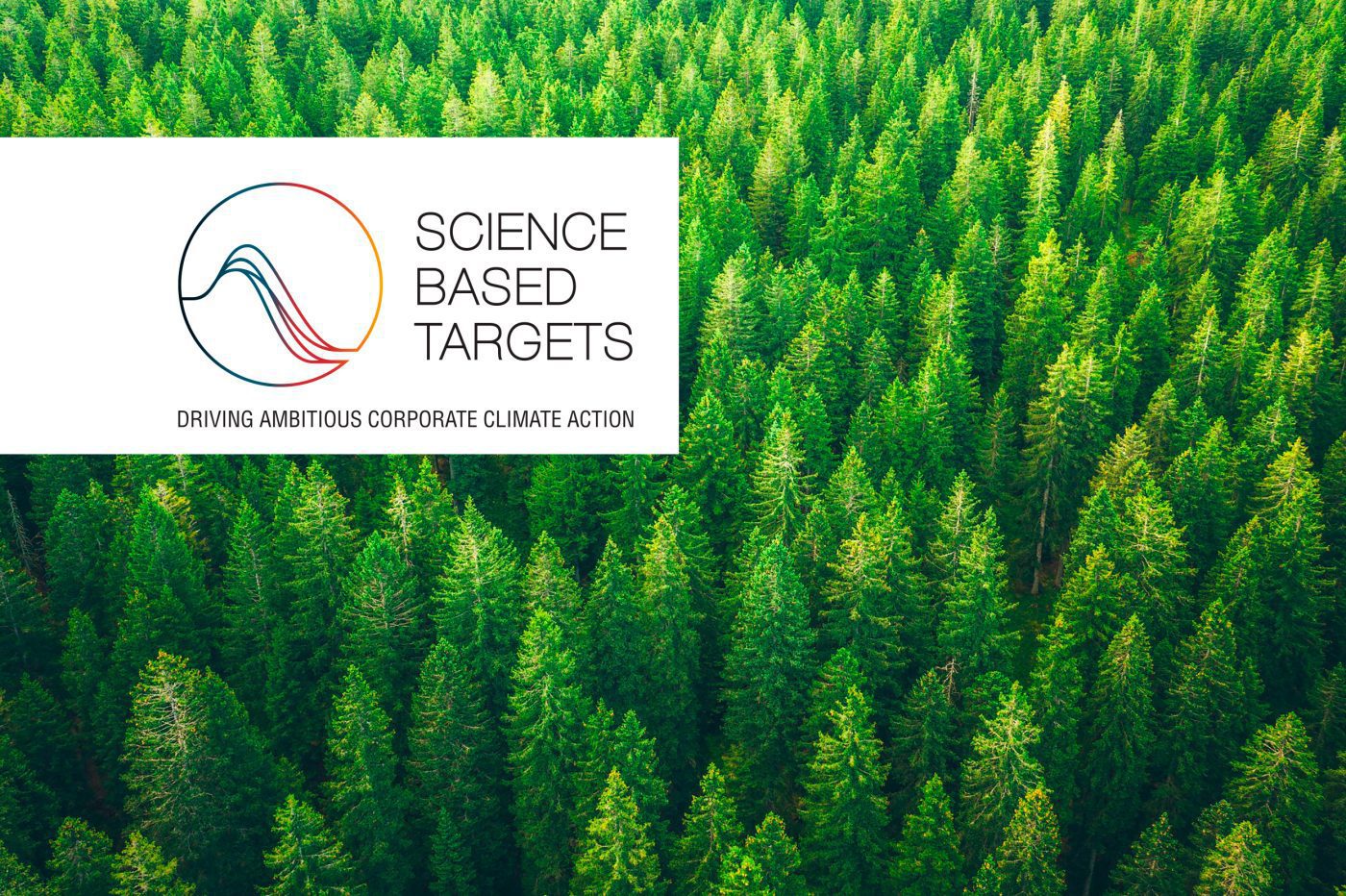 Lecta obtains SBTi validation for its emissions reduction targets - Eye ...