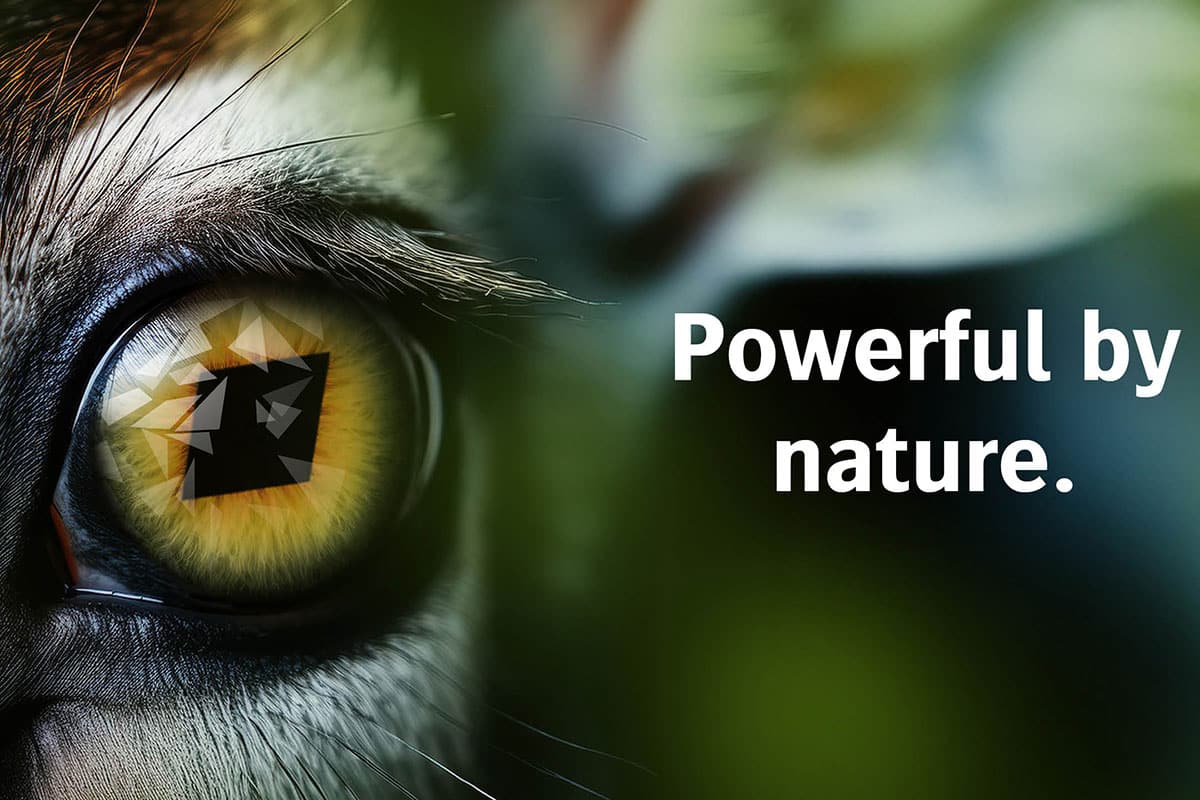 Unleashing innovation: Agfa to introduce new inkjet power beasts at ...